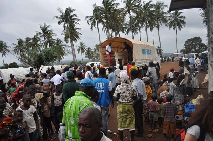 Refugee Board to repatriate over 40 refugees