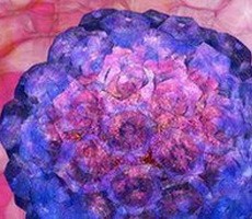 Thriving cancer's 'chaos' explained