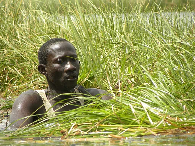 How prawns are saving lives in Senegal