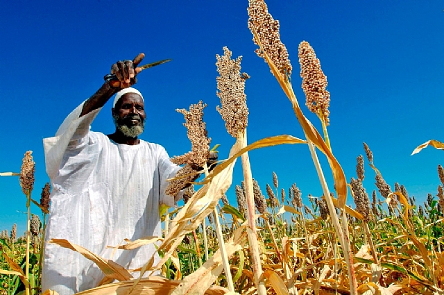 2019 Budget Should Capture Provision For Agric Centres