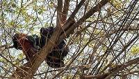 Woman sleeps 20ft up in tree