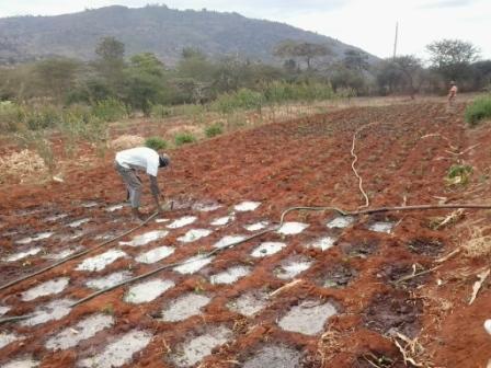 Poor land use exposes Ghana to possible food and water scarcity