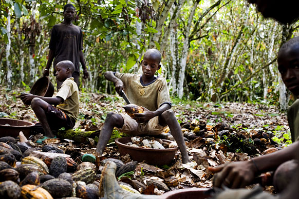 Child labour undermining sustainability in the cocoa industry