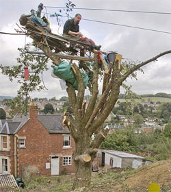 Man, living in a 150-year-old apple tree so it won’t be chopped down to ...