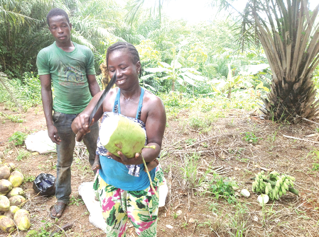 Mother sells coconut to support family