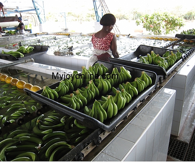 Golden Exotics Company goes Fairtrade