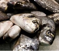 Navy officers clash with fishermen at sea