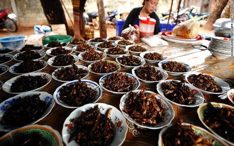 A traveler's guide to eating insects