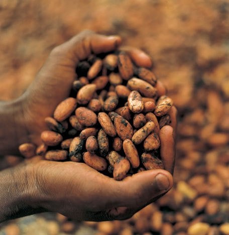 Farmers rally on Cocoa Swollen Shoot Disease held at Mourso