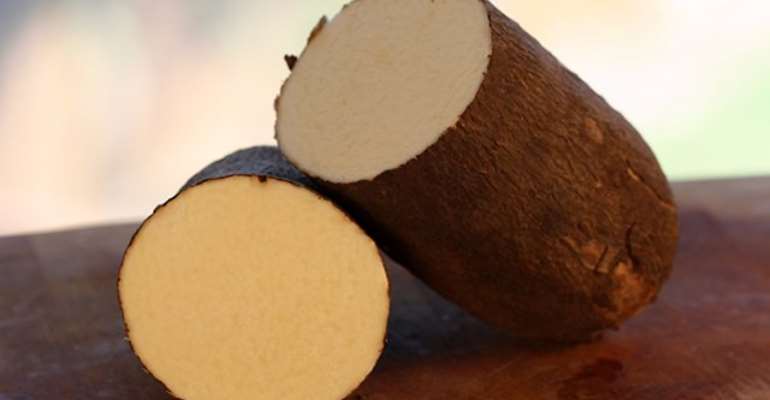 CSIR yam seedling innovation to boost production