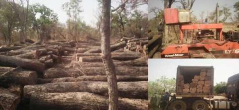 Community members arrest illegal chainsaw operators