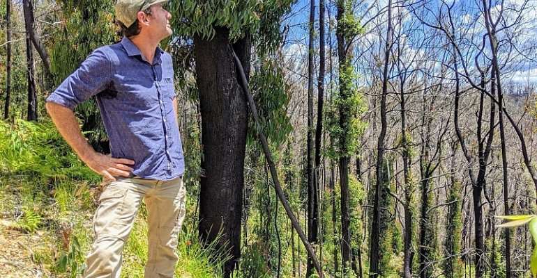 Reflection and reckoning one year on from Australia's 'Black Summer' fires