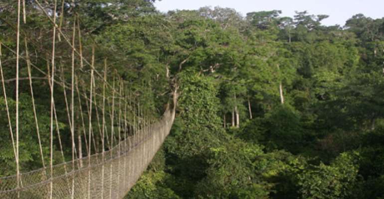 Preserve Atewa Forest For National Park; Not Bauxite Mining