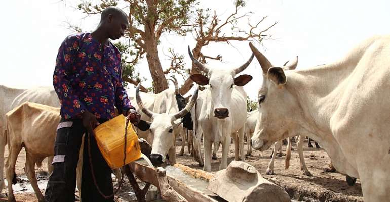 Insights from Fulani pastoralists and host communities in southwestern ...
