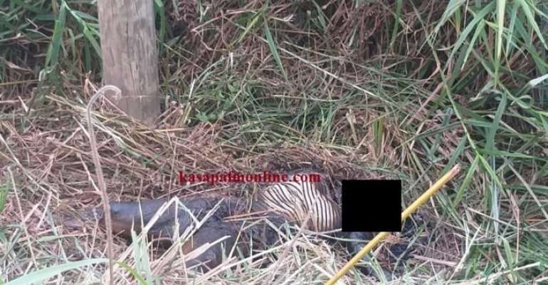 A/R: Decomposed body of lady found one week after boyfriend asked her out