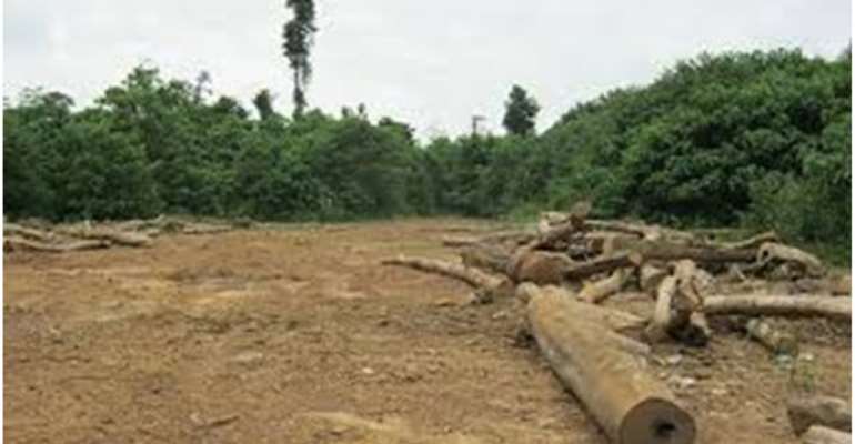The Uprising Nature Of Deforestation In Ghana