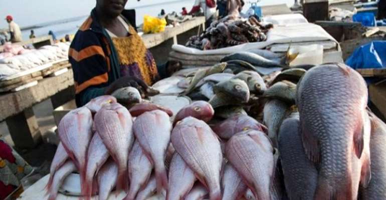 Fish Export To EU Hits $250m