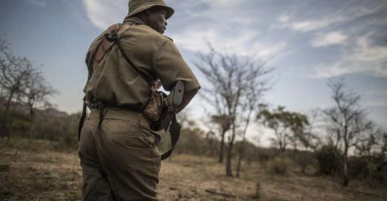 S. African rangers kill two rhino poachers in Kruger National Park