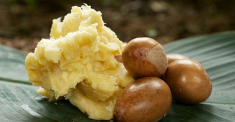 Nigerian farmers hope to spread shea butter wealth