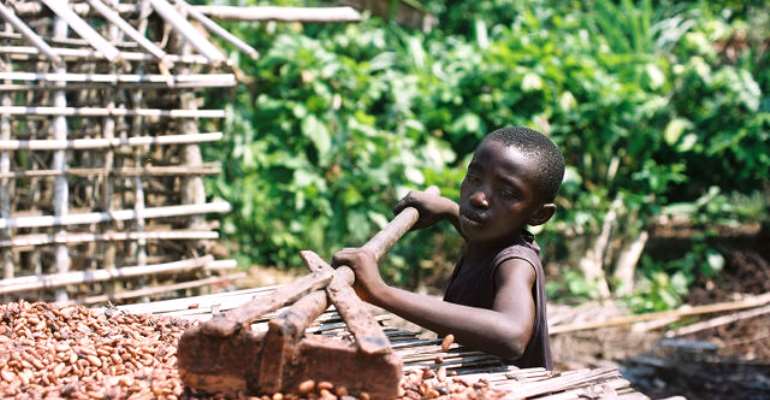 COCOBOD steps up campaign against child labour COCOBOD steps up campaign against child labour