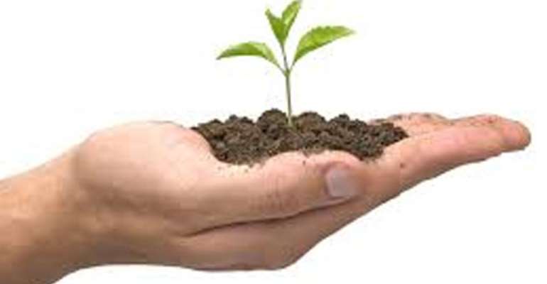 Three critical truths about seed sowing – Genesis 8:22; Luke 6:38