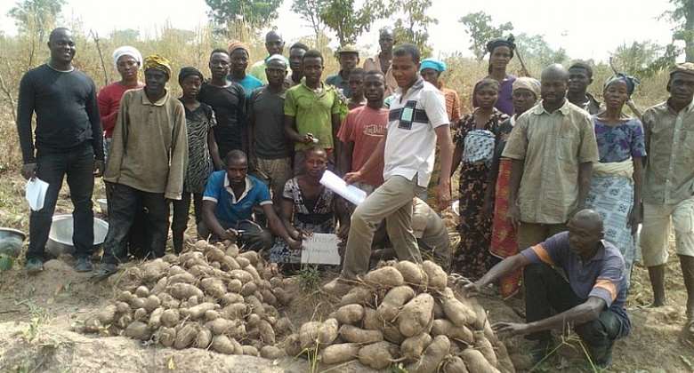 Agronomic technologies for sustainable yam production in the face of ...