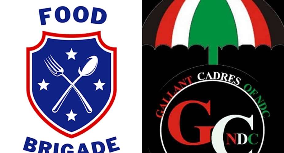 NDC Youth Wing endorses Ghana Food Brigade, hails potential to ...