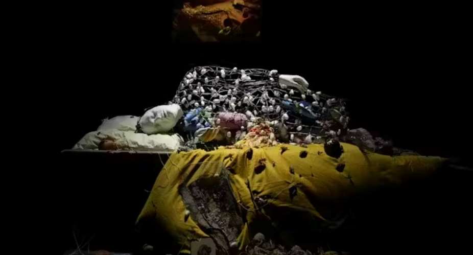 Dakar Biennale: Senegal’s big art show shines a light on a bruised planet