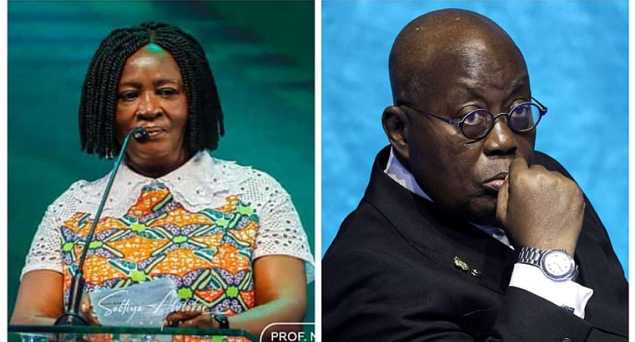 Stop blaming your failures on those who didn't vote for you — Prof Naana Opoku-Agyemang