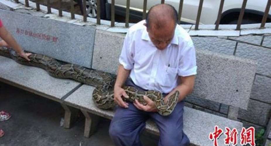 Chinese couple raise 3.7-meter-long python as their child