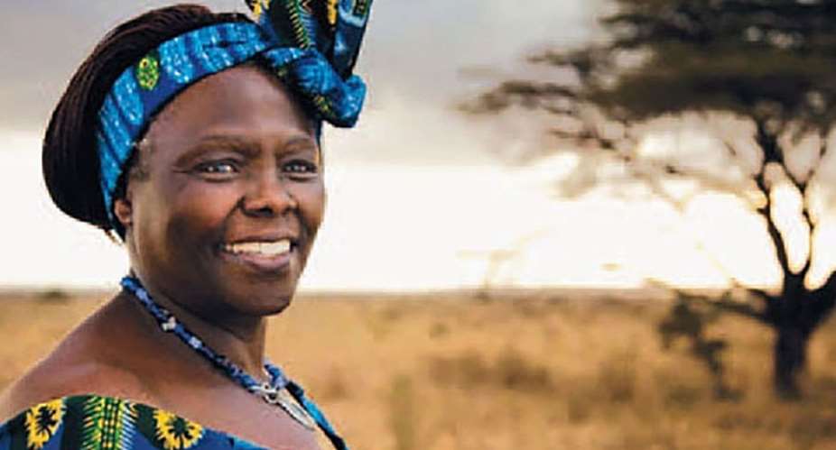 Wangari Maathai: Africa’s First Female Nobel Peace Laureate A Legacy ...