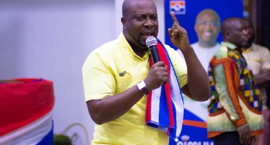 NPP should be able to quickly come back to power in 2028 – Salam Mustapha