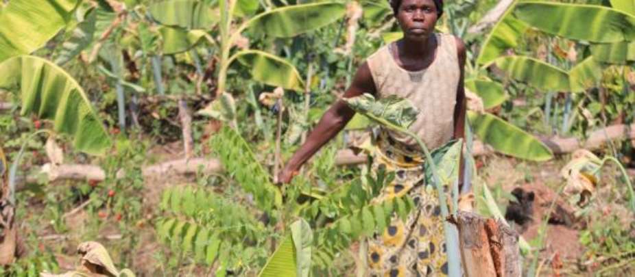 Ghana Launches National Adaptation Plan to Tackle Climate Change