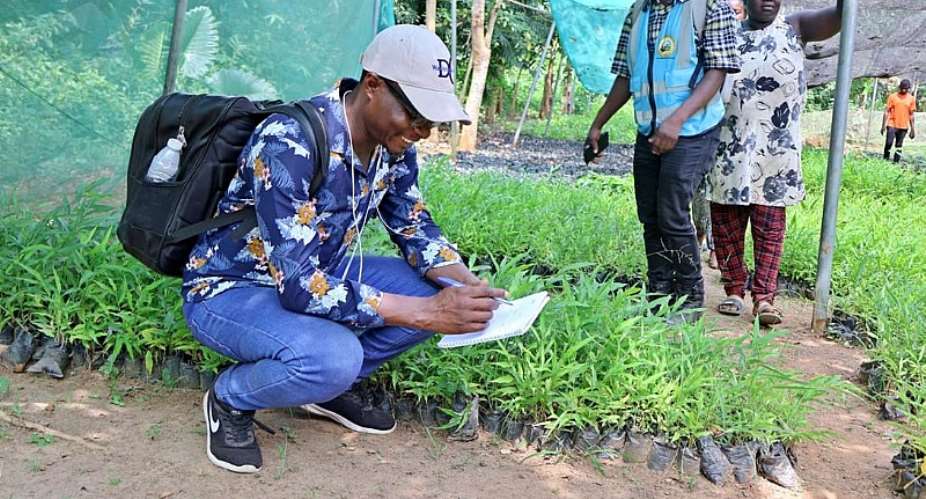 Atewa At A Crossroads: Ghana’s Water Tower And Biodiversity Haven Faces ...