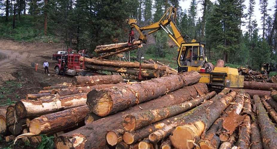 Timber Trafficking Destroys Ghana Forests, Puts Communities At Risk