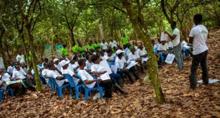 Olam supports Ghanaian Farmers with $ 22 million