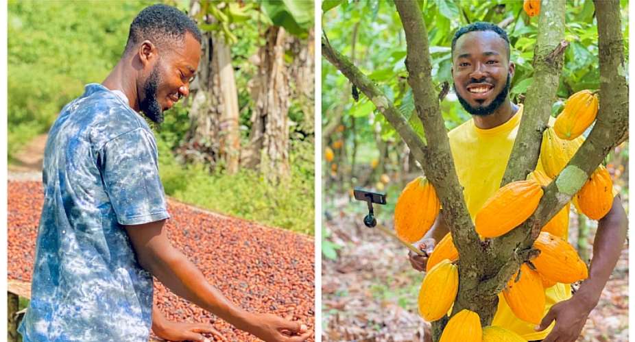 New cocoa price increment will ensure farmers' well-being, sector’s ...