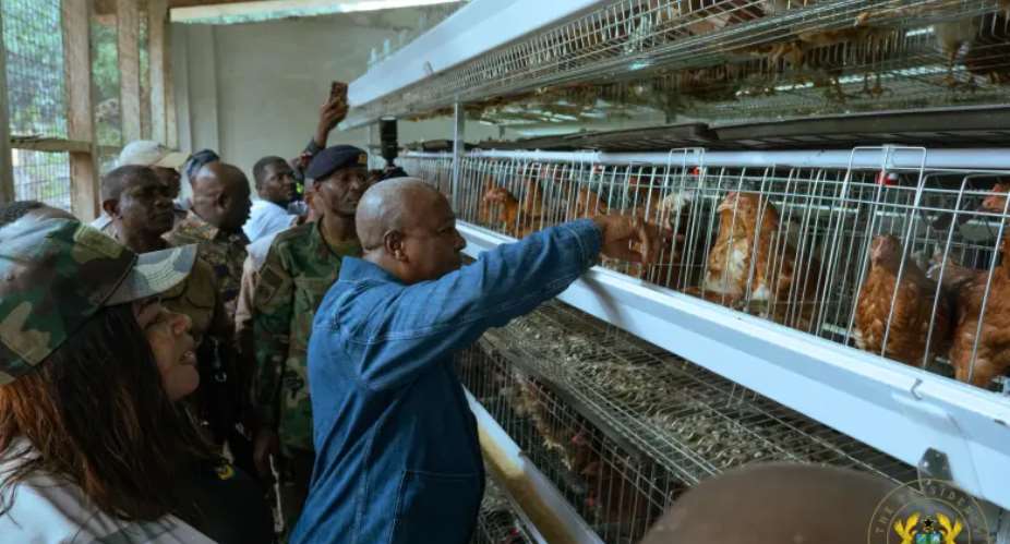 Nkokɔ Nkitinkiti project: 'We’re going to build processing plants in ...