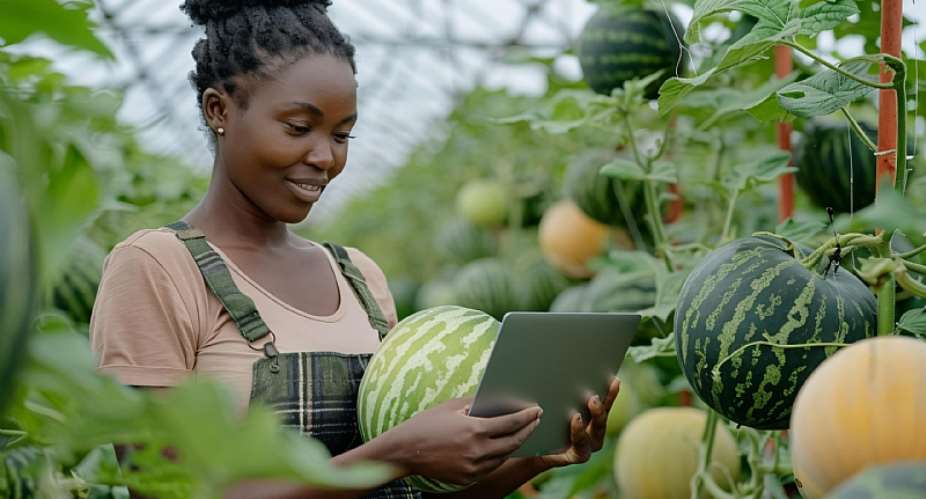 Ghana's development journey is marked by both challenges and opportunities
