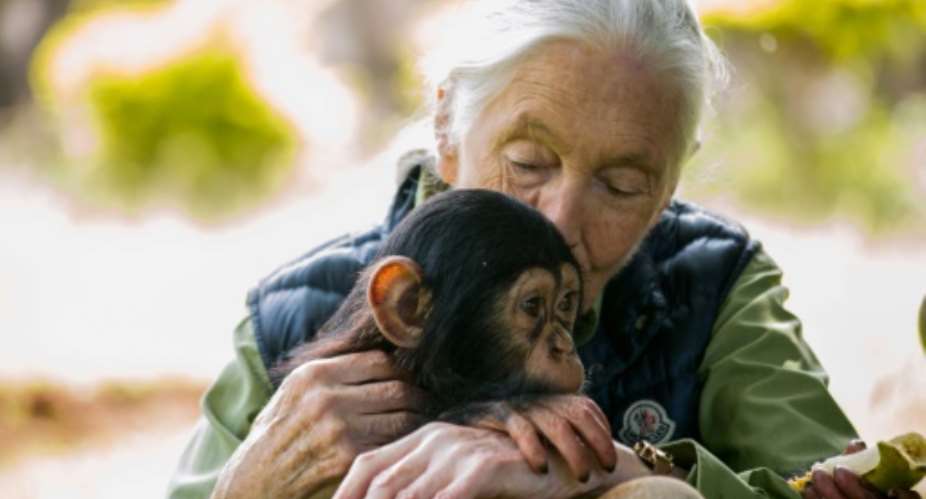 Jane Goodall: crusader for chimpanzees and the planet