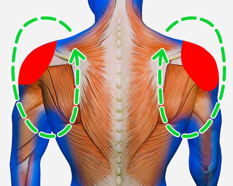 11 Stretches To Relieve Neck And Shoulder Tension
