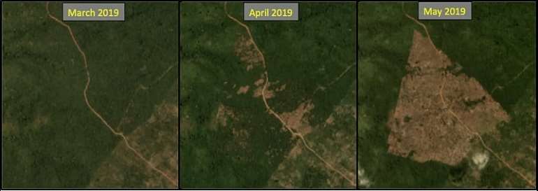Ghana included in 2020 Deforestation Fronts Report