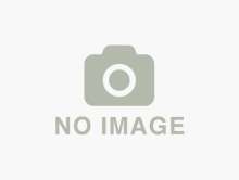 HIFU For Prostate Cancer Treatment in India